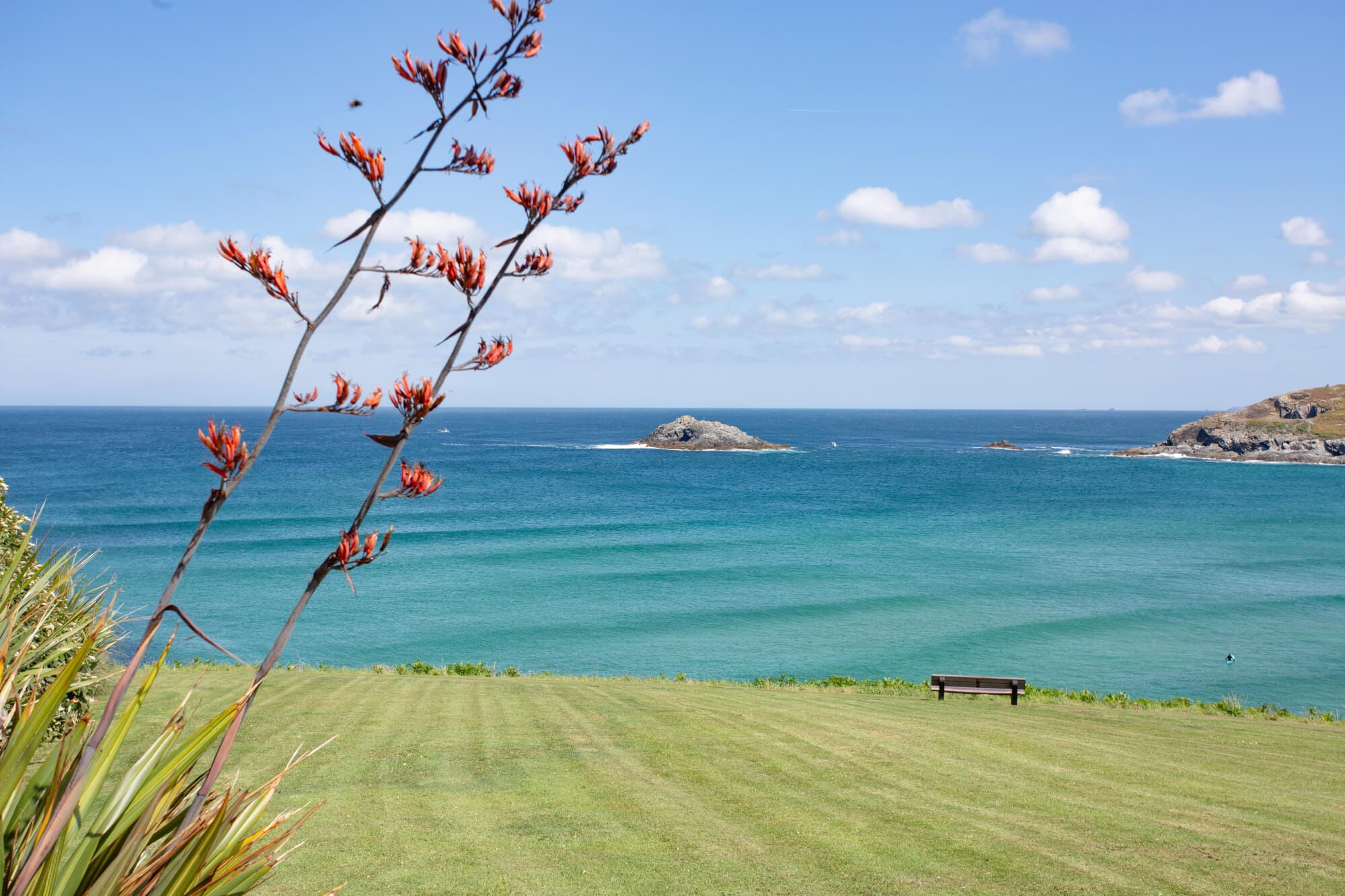 We’ve Got Something Special for You - Crantock Bay Holidays